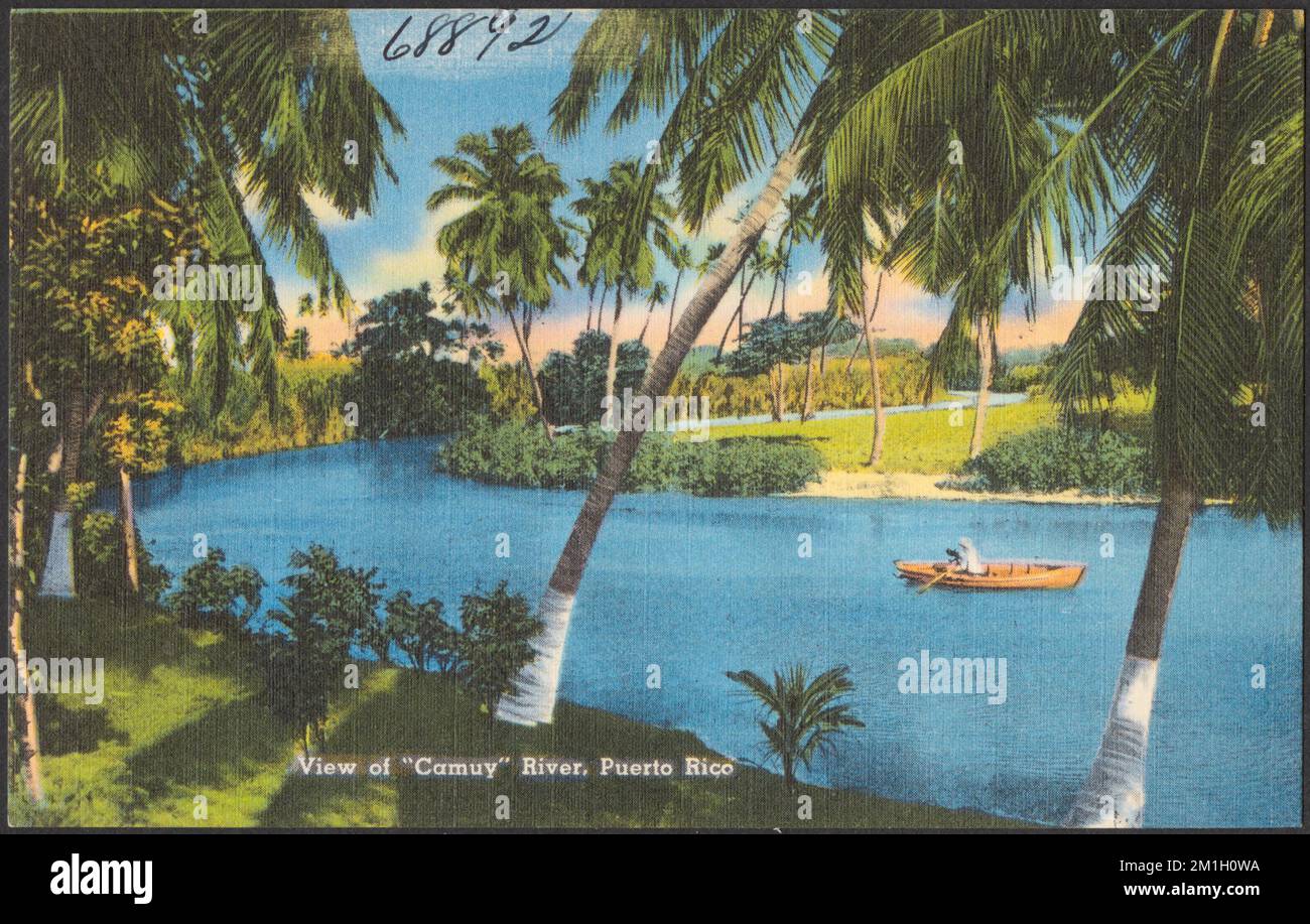 View of 'Camuy' River, Puerto Rico , Rivers, Boats, Palms, Tichnor ...