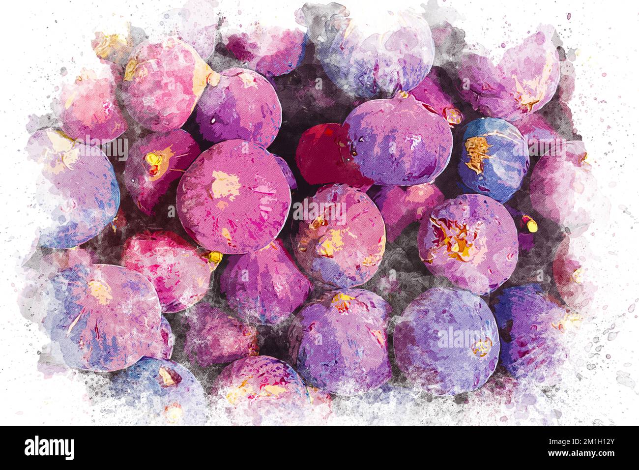 Watercolor painting of figs. Group of fig fruits top view artistic ...