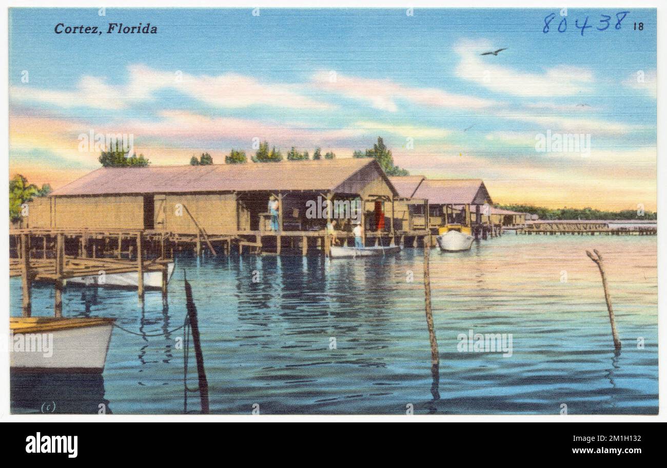 View of fishing village, Cortez, Florida , Piers & wharves, Tichnor ...