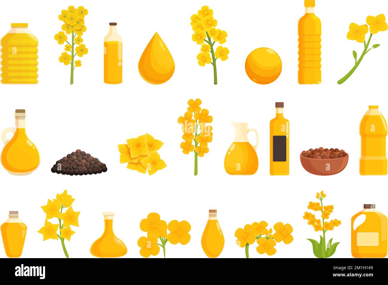 Rapeseed icons set cartoon vector. Canola flower. Rapa food Stock ...