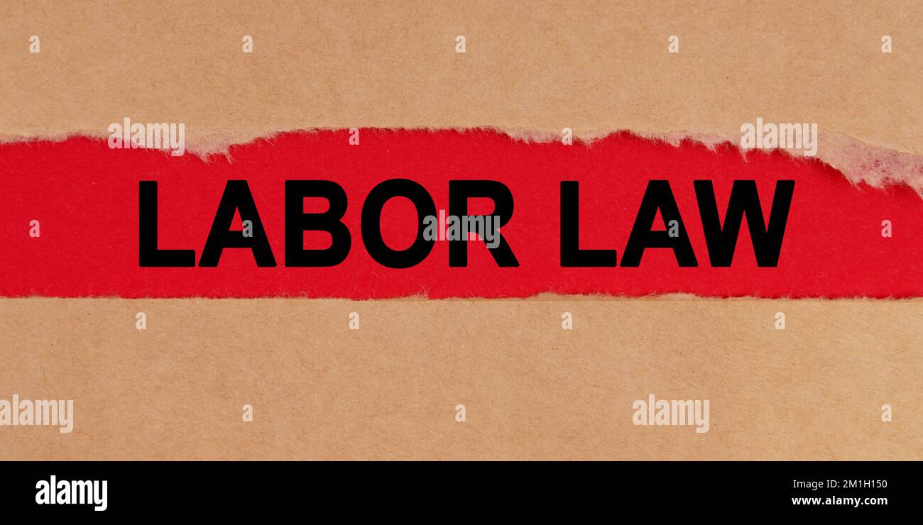 Law concept. Among the torn sheets of paper on a red background, the ...