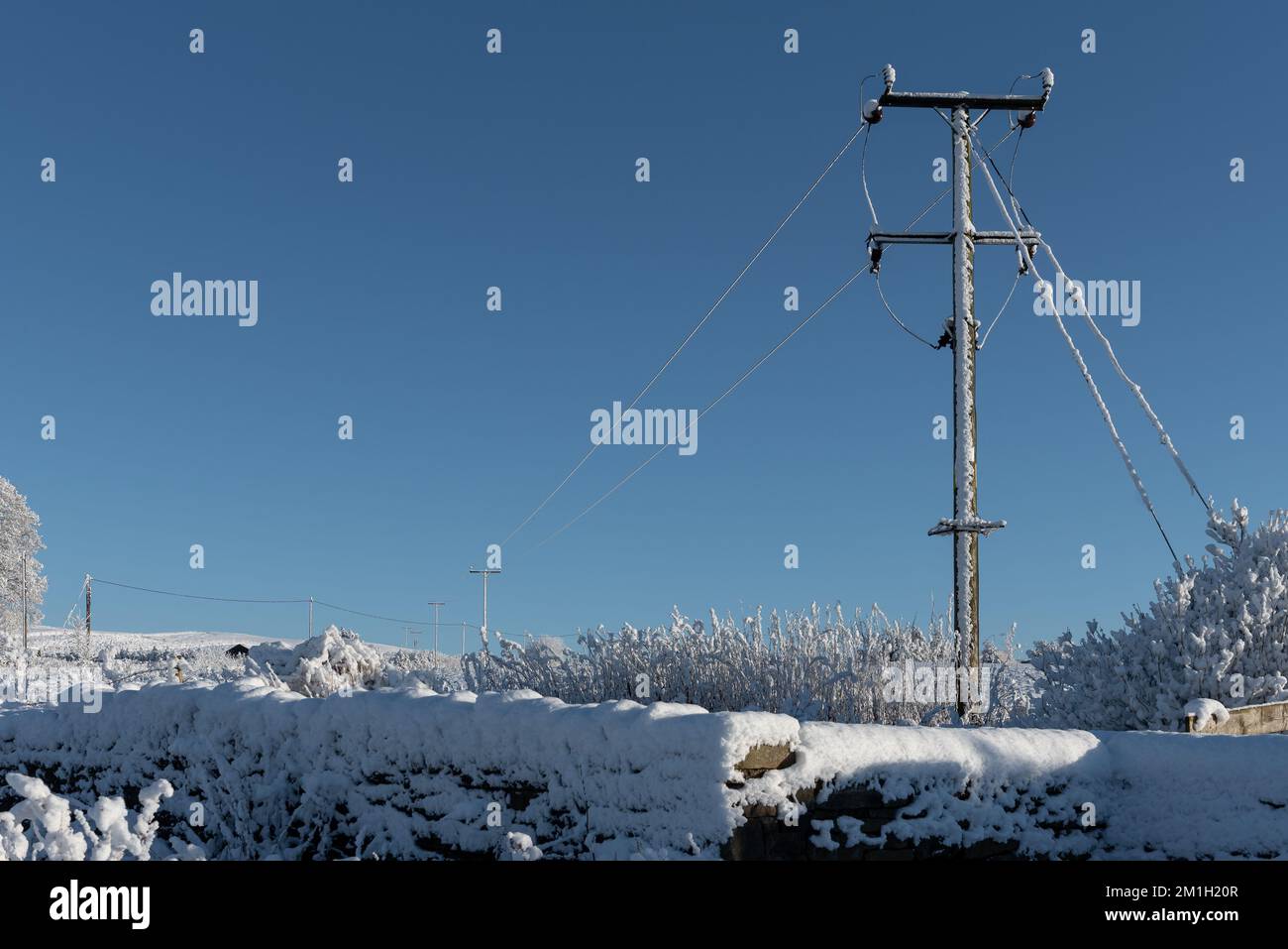 Telegraph pole with power lines attached which are covered in snow ...