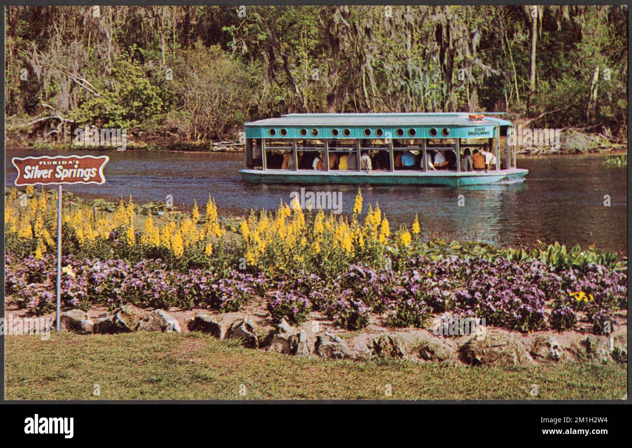 Visitors to famous Silver Springs get an intimate view of the underwater wonderland through the ...