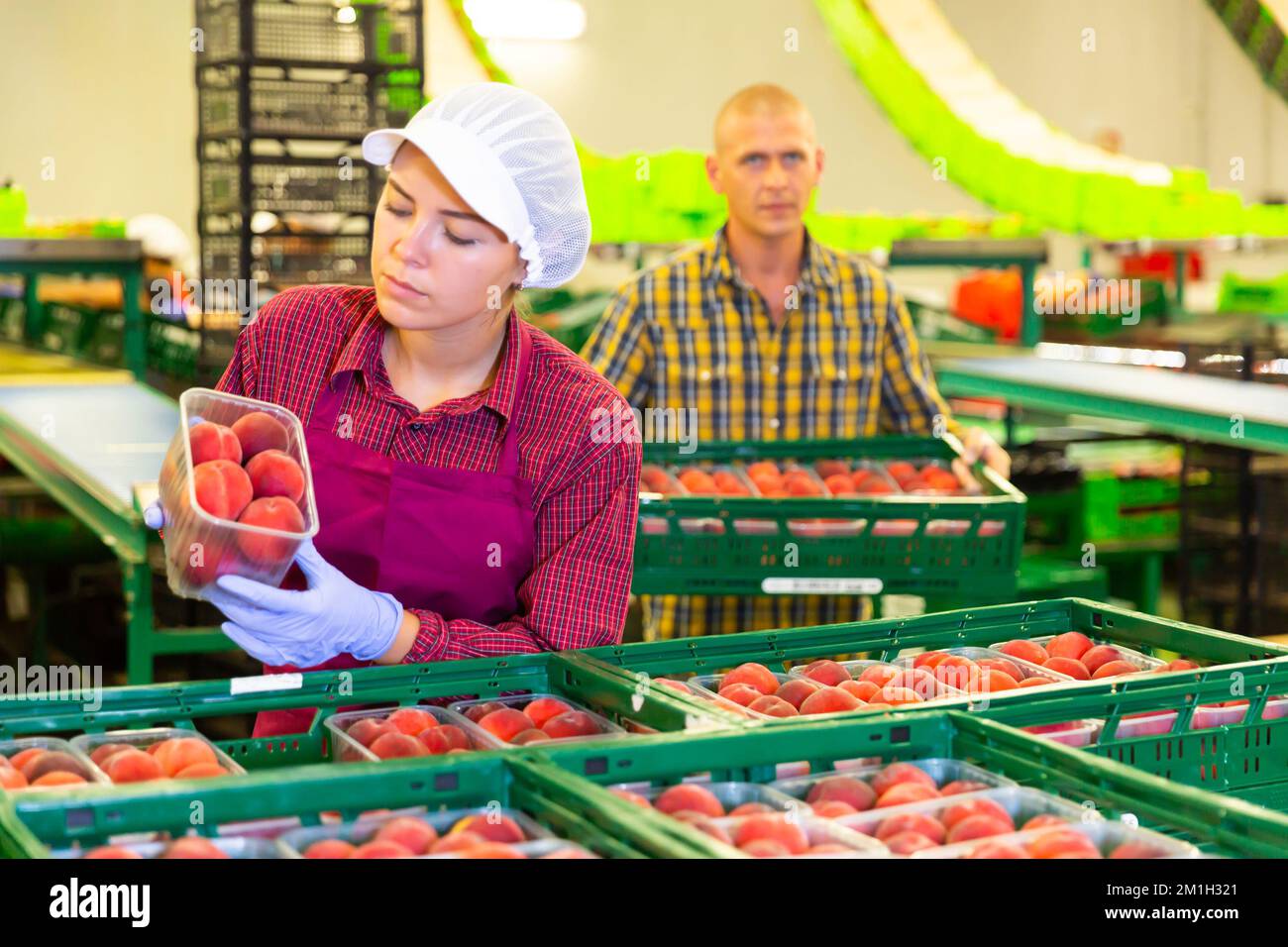 Portrait of positive woman with peaches in her hands next to fruit ...