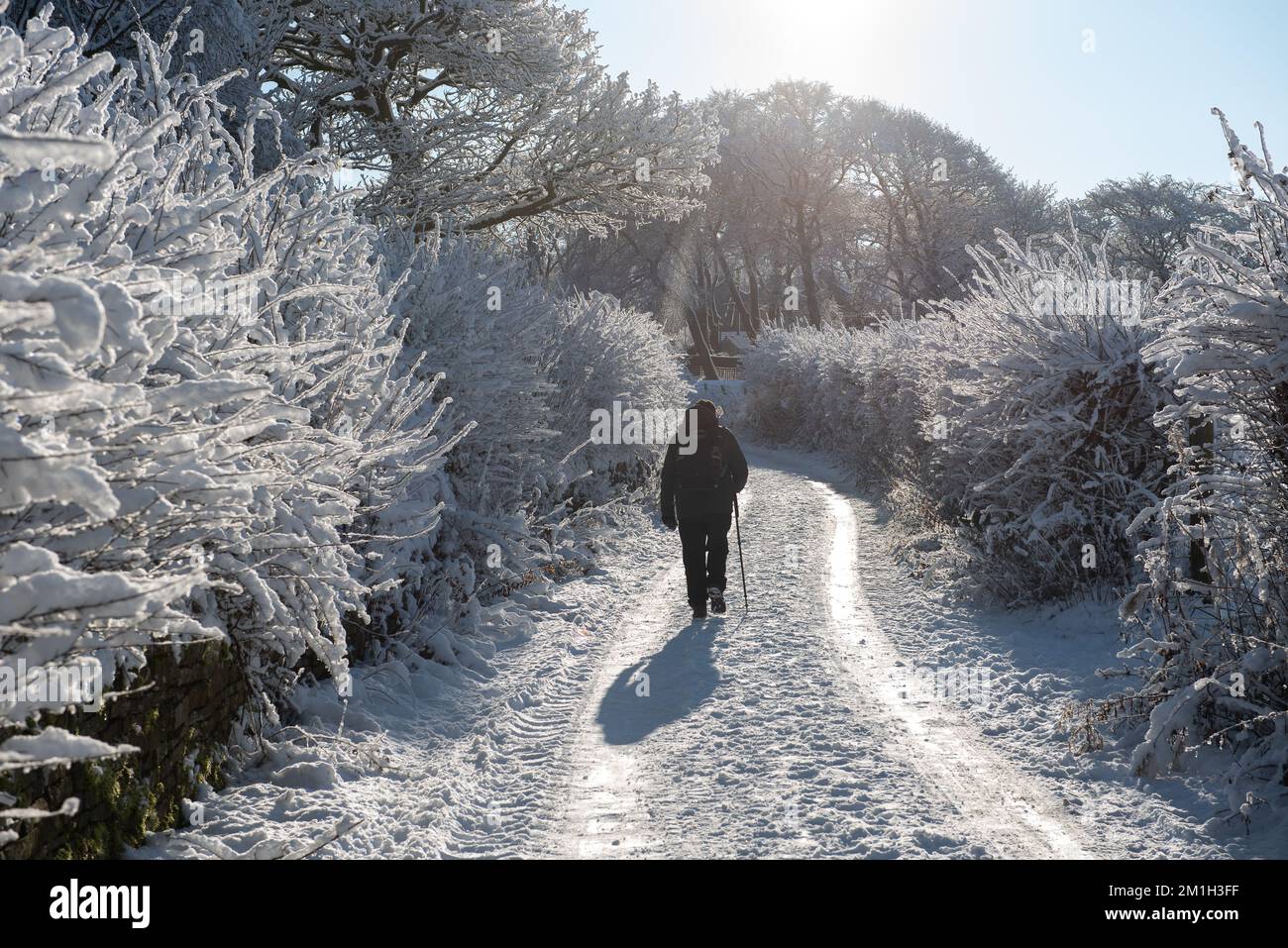 winter snow on the ground. Small english country lane with sun shining ...