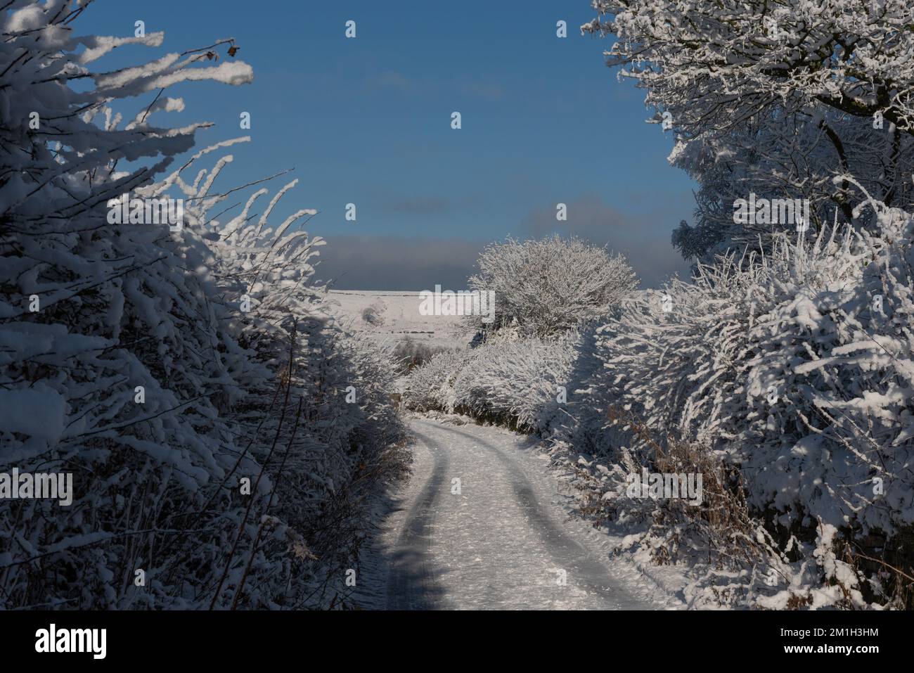 winter snow on the ground. Small english country lane with sun shining ...