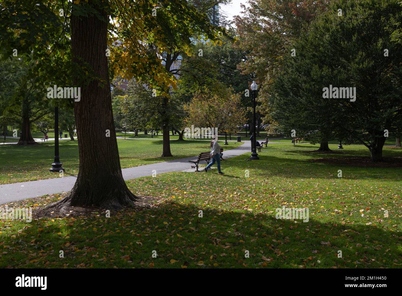 Boston Common park, Massachusetts, USA Stock Photo - Alamy