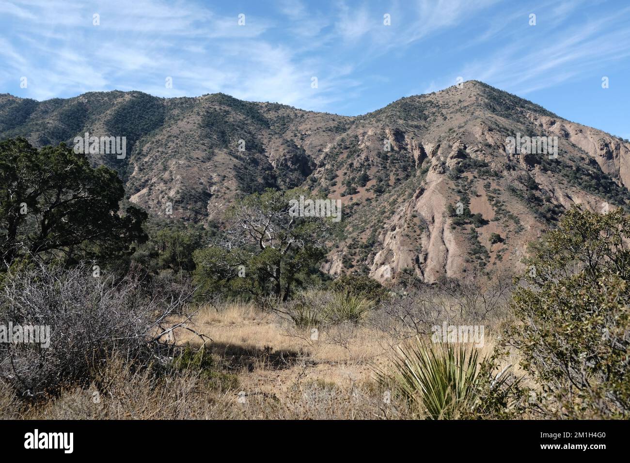 The beautiful rocky cliffs of Big Bend National Park, West Texas, USA ...