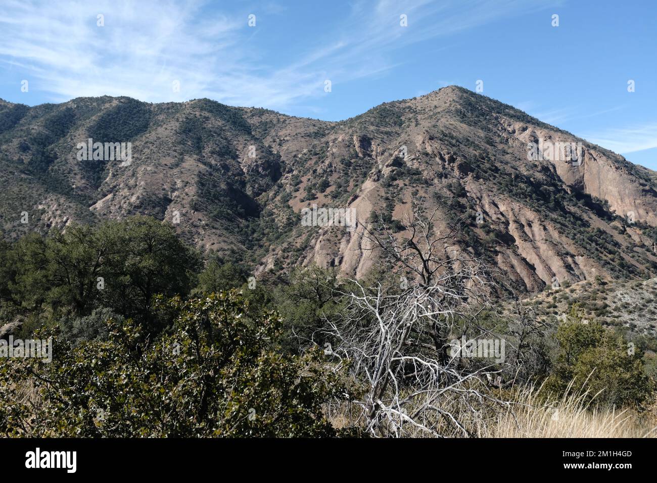 The beautiful rocky cliffs of Big Bend National Park, West Texas, USA ...
