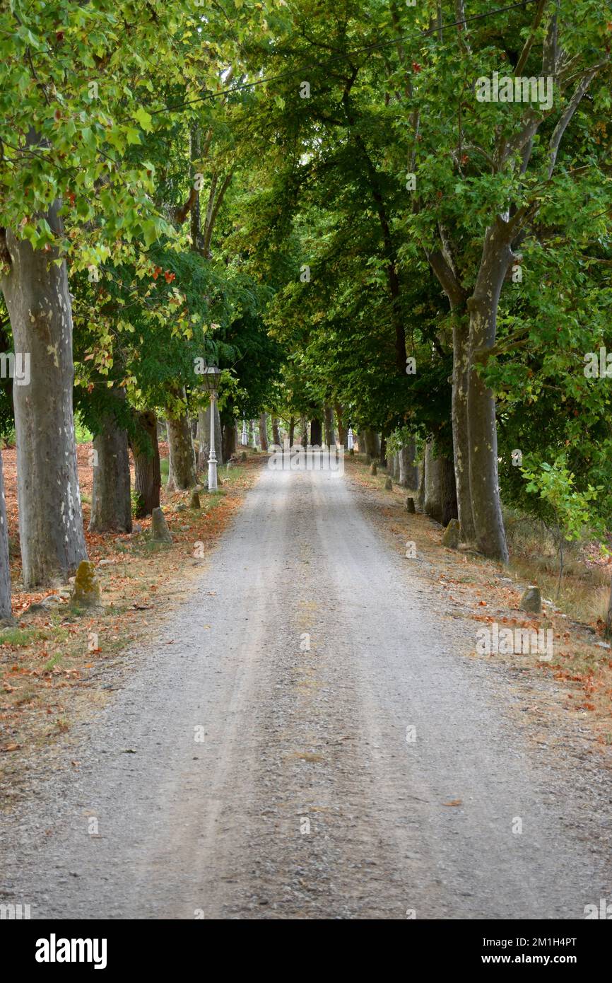 Lonely way hi-res stock photography and images - Alamy