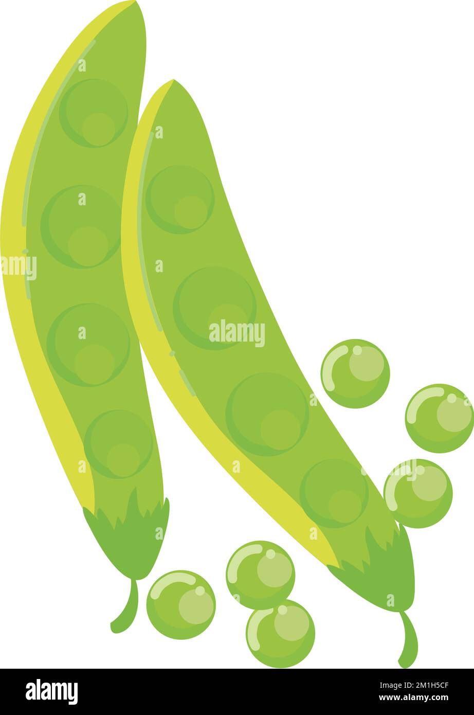 Fresh string bean Stock Vector Images - Alamy