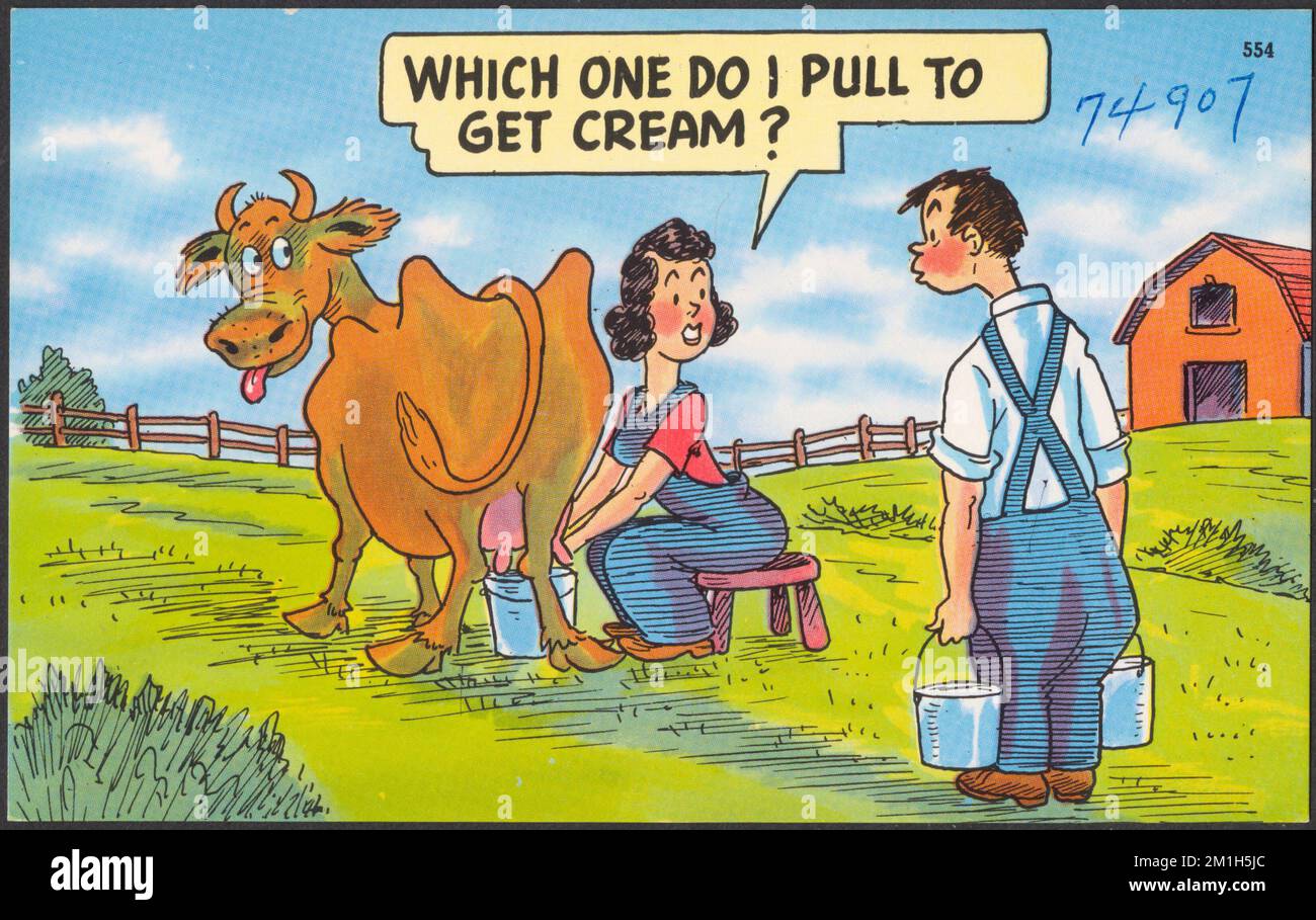 Which one do I pull to get cream? , Cows, Milking, Tichnor Brothers ...
