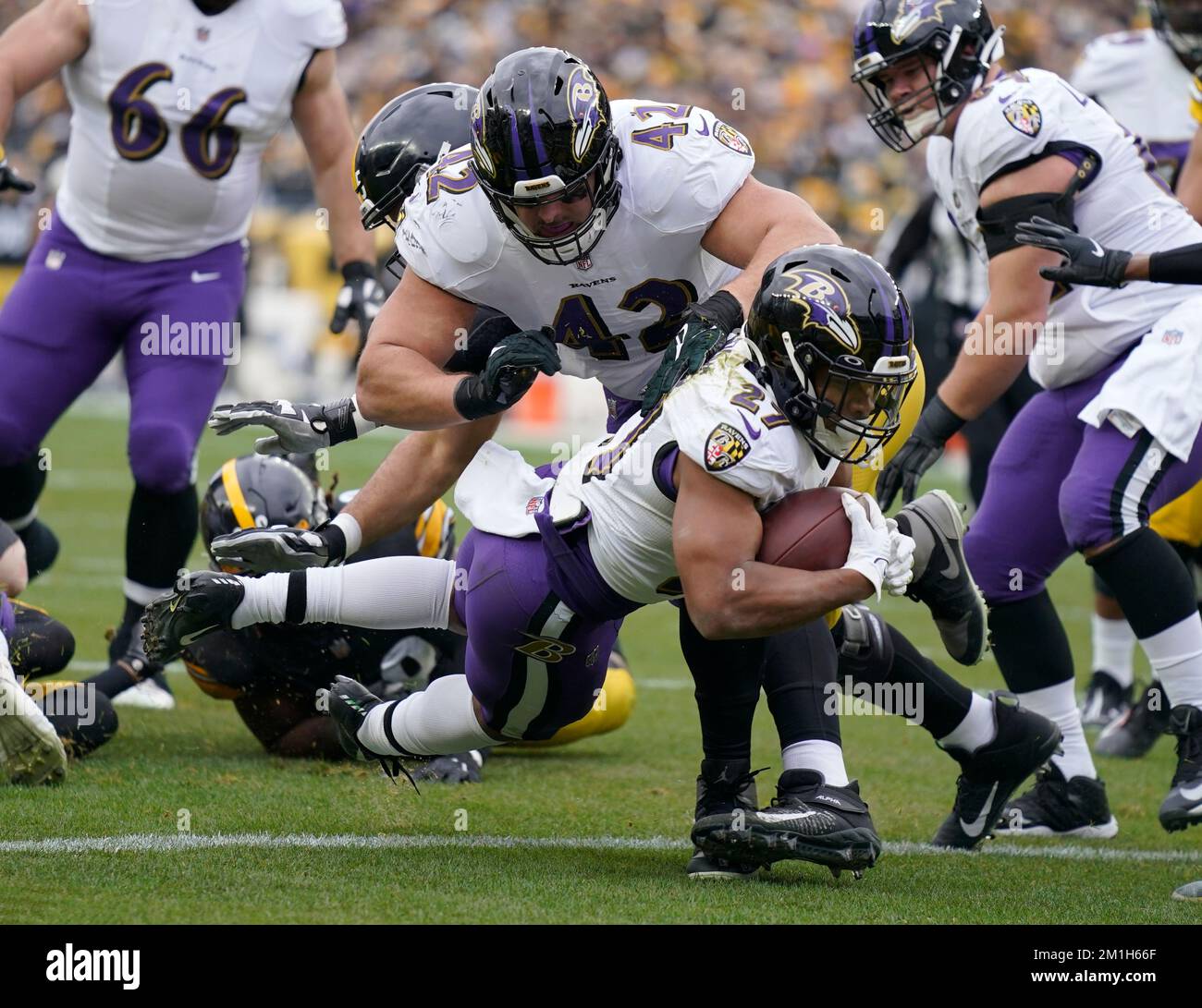 Baltimore ravens 2022 hi-res stock photography and images - Alamy
