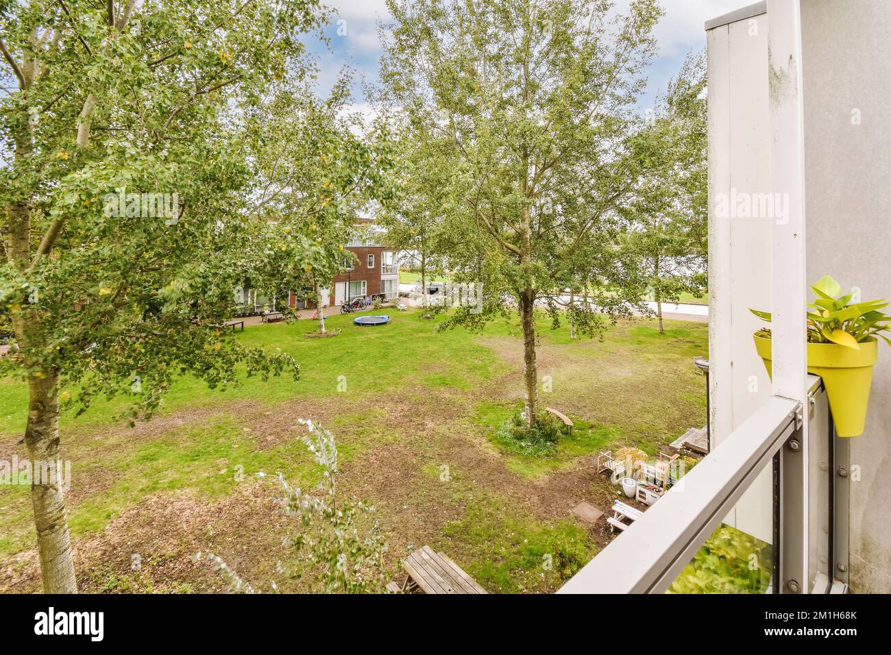 an outside area with trees and grass in the fore - image was taken from ...