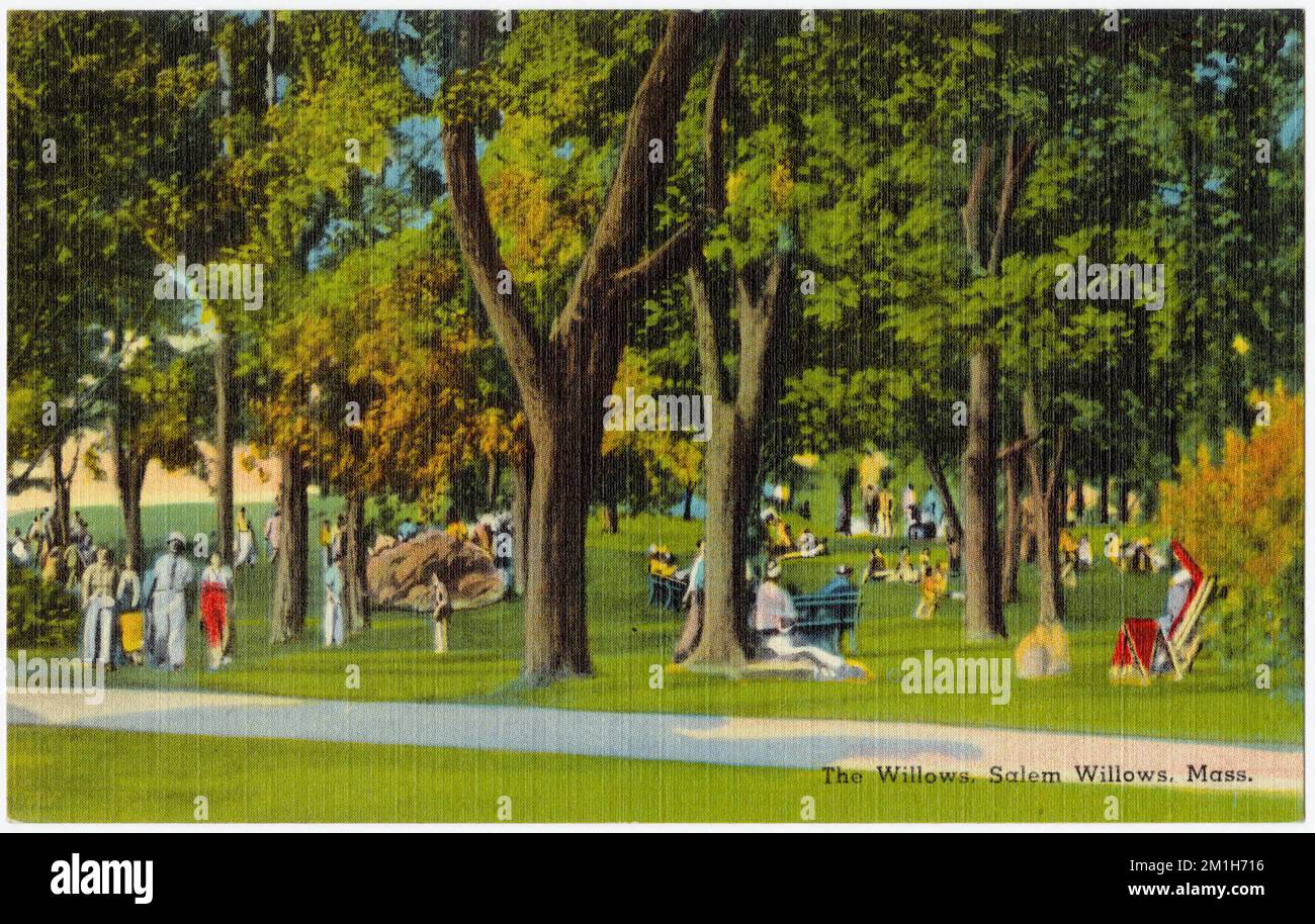 The willows, Salem Willows, Mass. , Willows, Tichnor Brothers ...