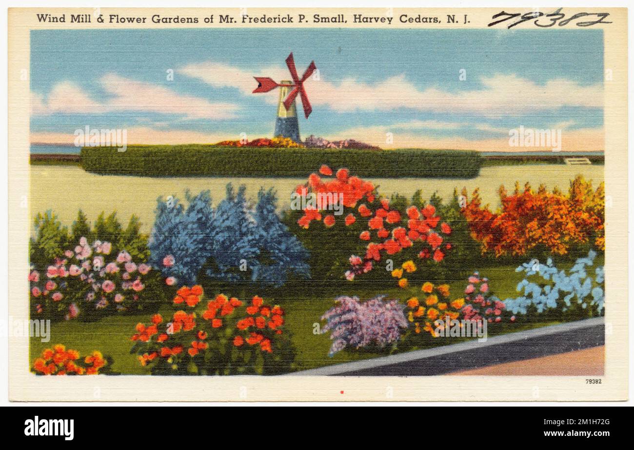 Wind mill & flower gardens of Mr. Frederick P. Small, Harvey Cedars, N ...
