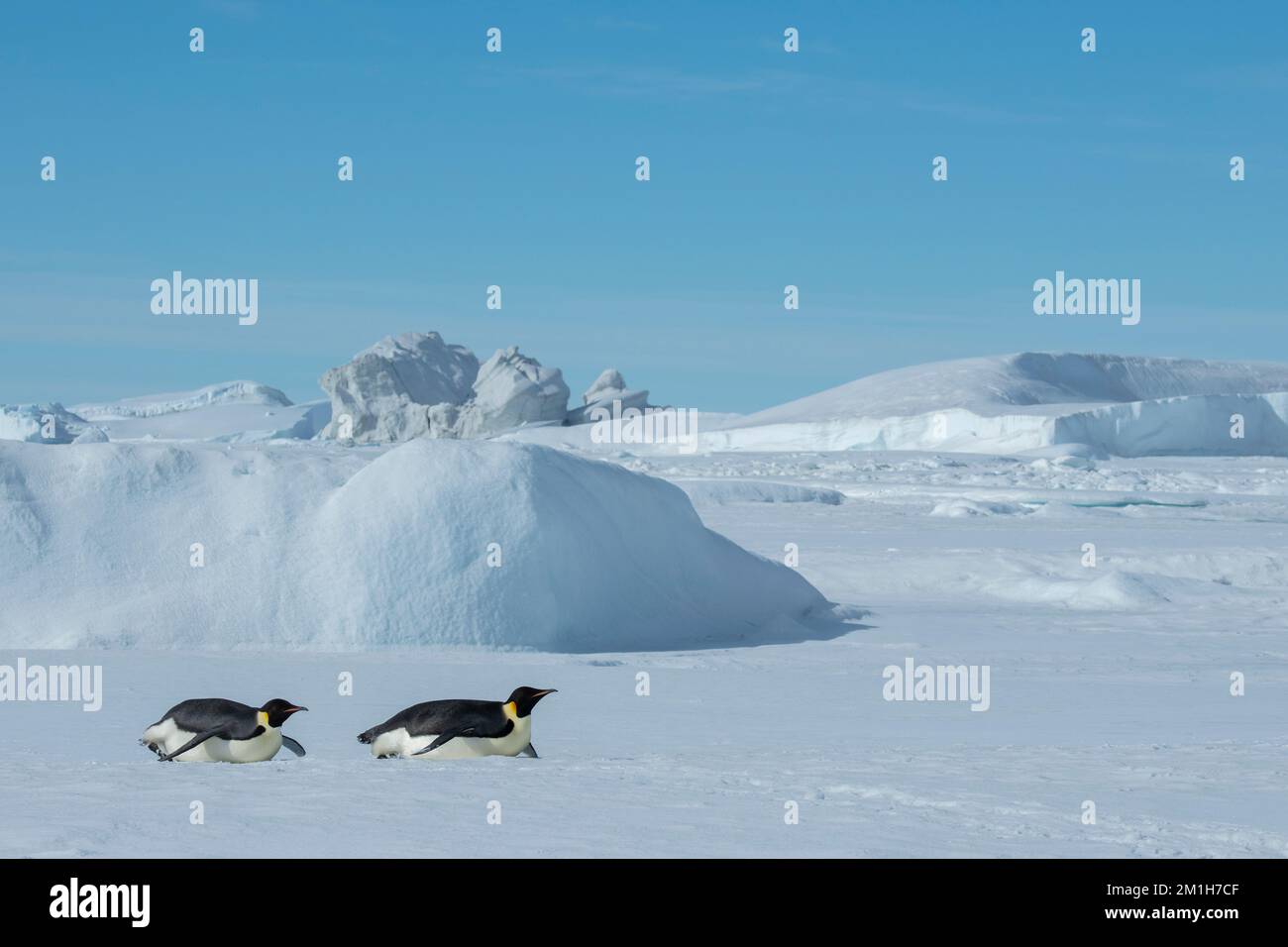 Toboggining hi-res stock photography and images - Alamy