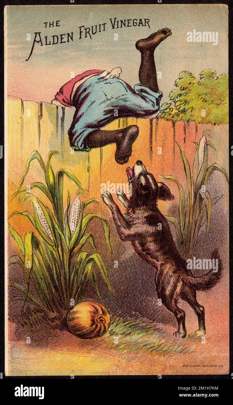 The Alden Fruit Vinegar , Dogs, Men, Corn, Fences, Condiments, 19th ...
