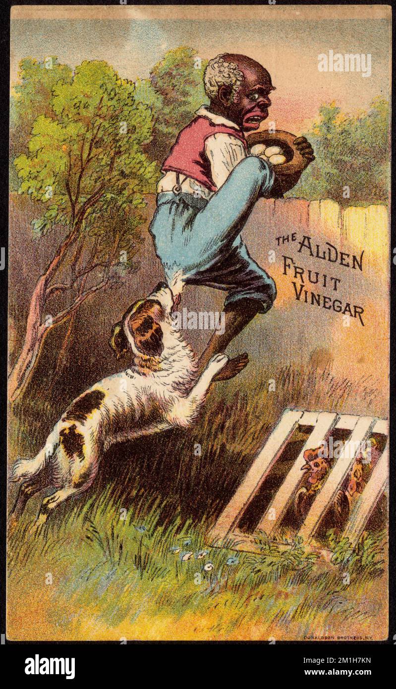 The Alden Fruit Vinegar , Dogs, Men, Chickens, Poultry houses, Eggs ...