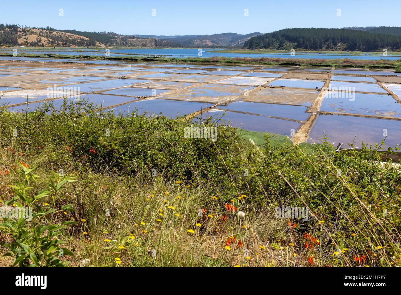 Salinas de Cáhuil and Laguna Cáhuil (Pichilemu) - Chile Stock Photo - Alamy