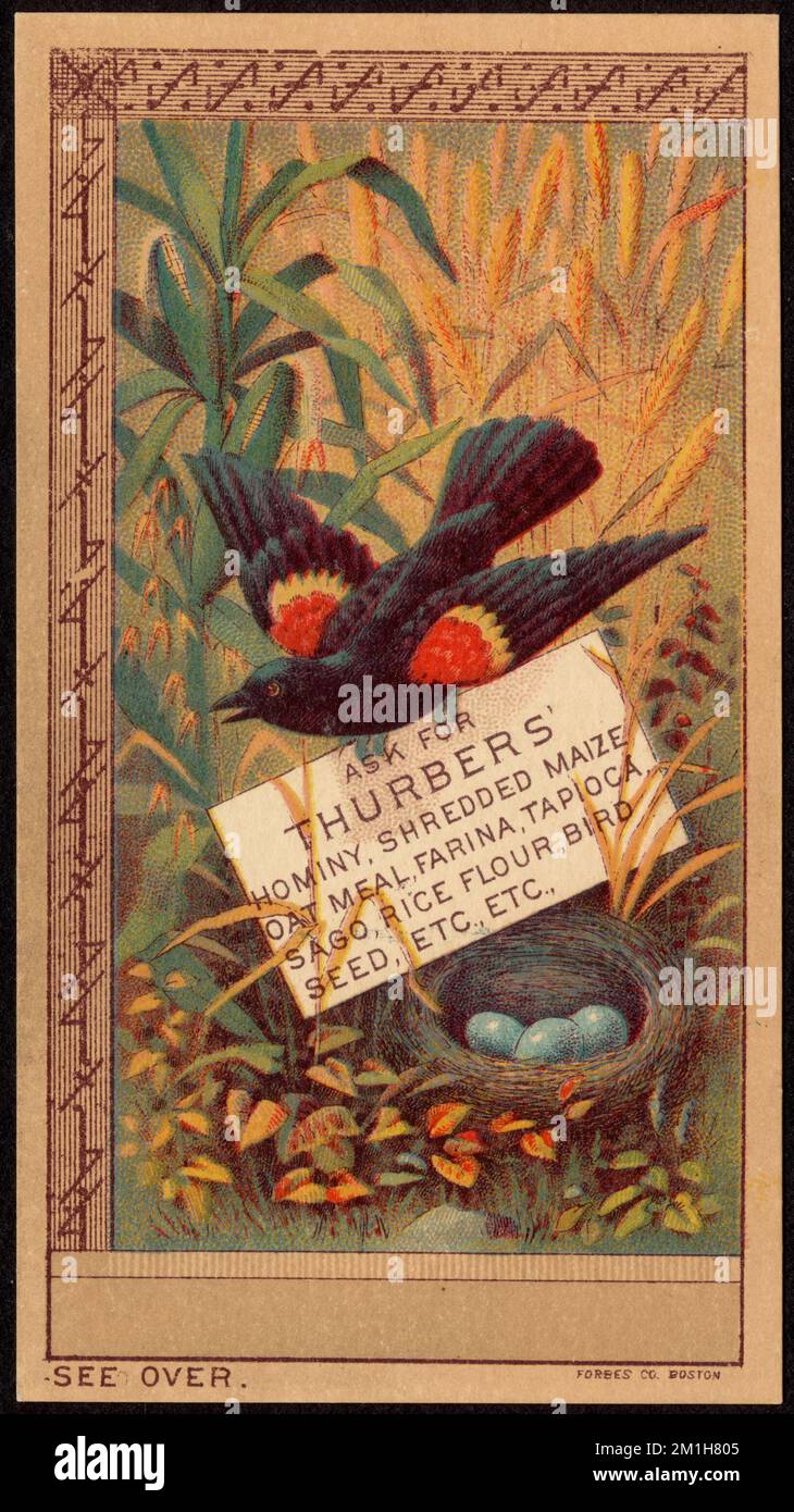 Ask for Thurbers' hominy, shredded maize, oat meal, farina, tapioca ...