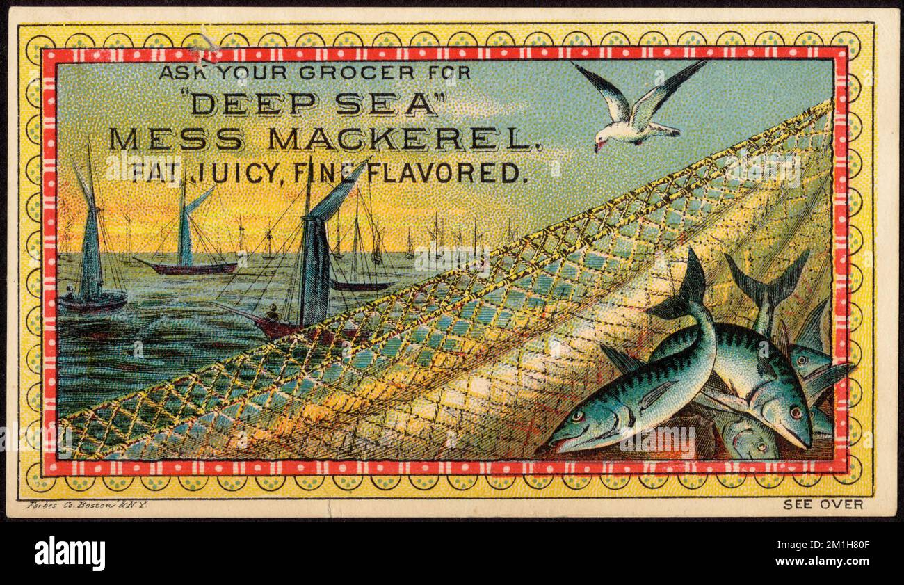 Ask your grocer for 'Deep Sea' Mess Mackerel. Fat, juicy, fine flavored ...