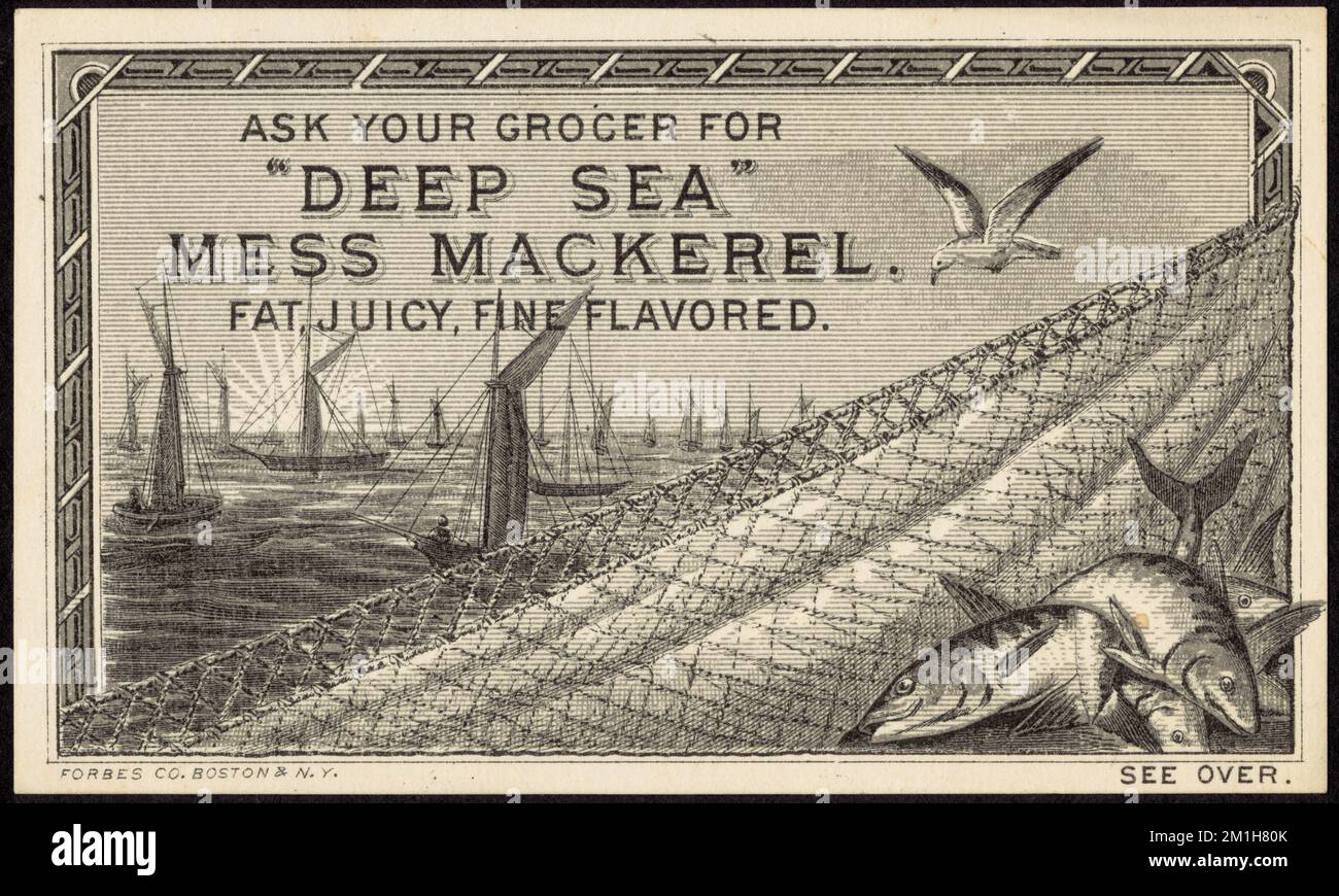 Ask your grocer for 'Deep Sea' Mess Mackerel. Fat, juicy, fine flavored ...
