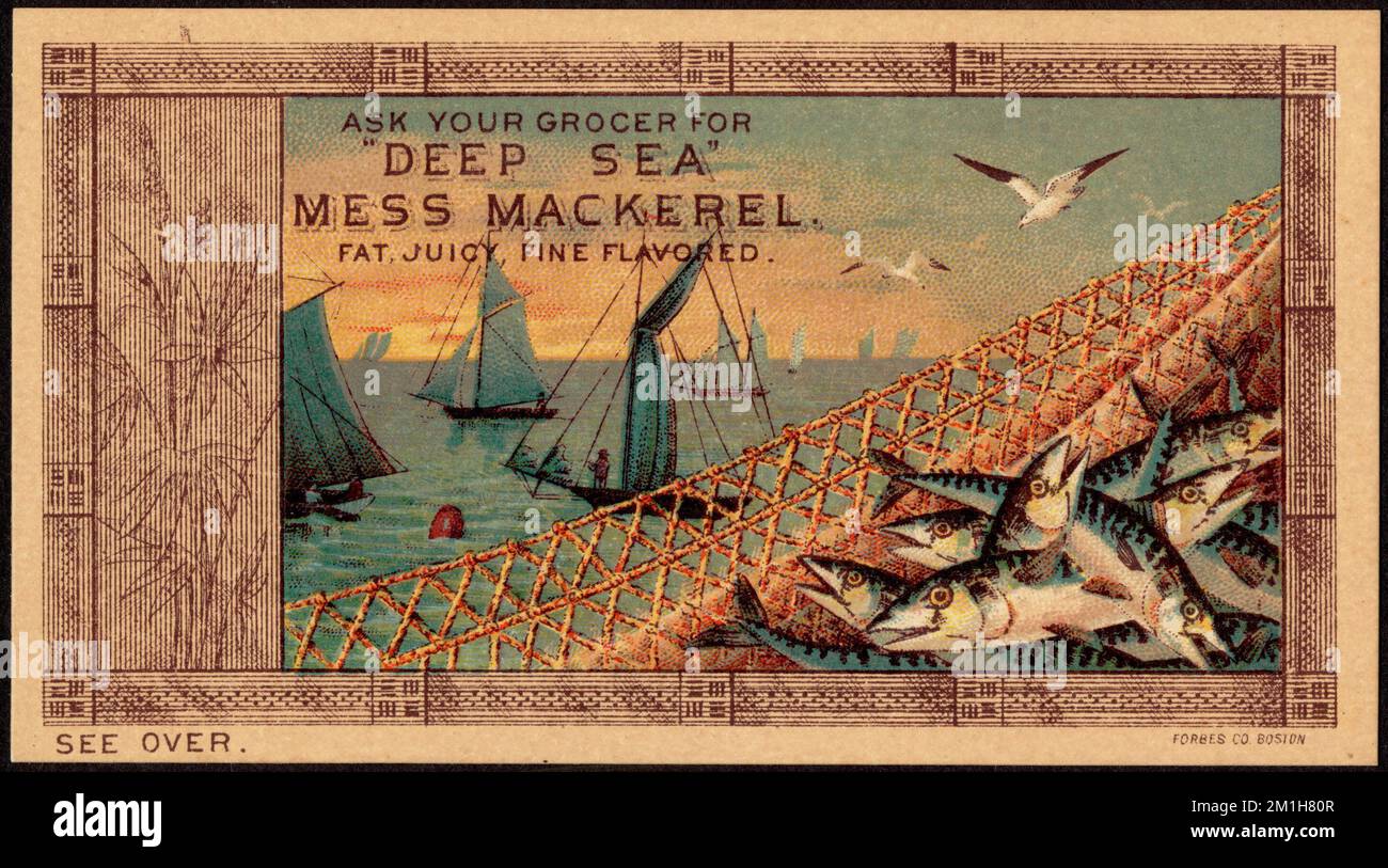 Ask your grocer for 'Deep Sea' Mess Mackerel. Fat, juicy, fine flavored ...