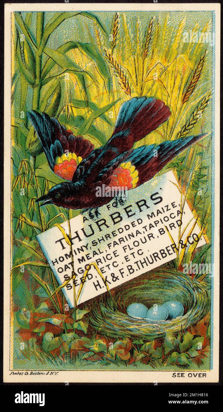 Ask for Thurbers' hominy, shredded maize, oat meal, farina, tapioca ...