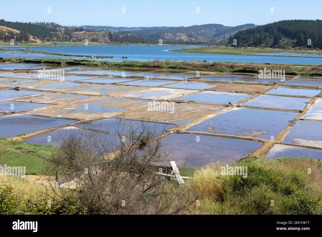 Salinas de Cáhuil and Laguna Cáhuil (Pichilemu) - Chile Stock Photo - Alamy