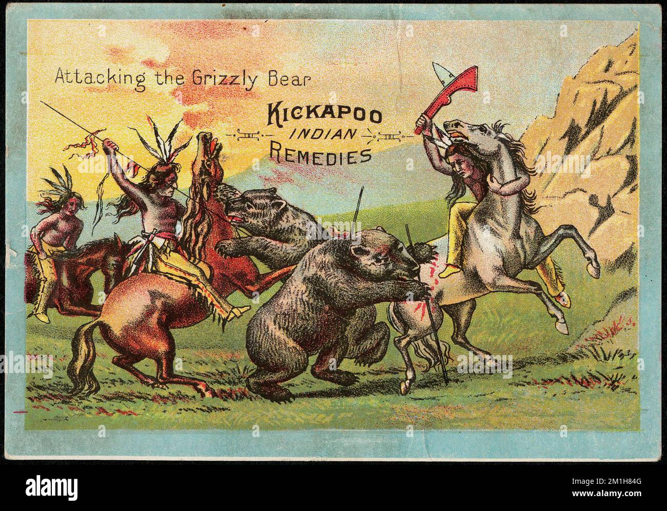 Attacking the grizzly bear - Kickapoo Indian Remedies , Indigenous ...