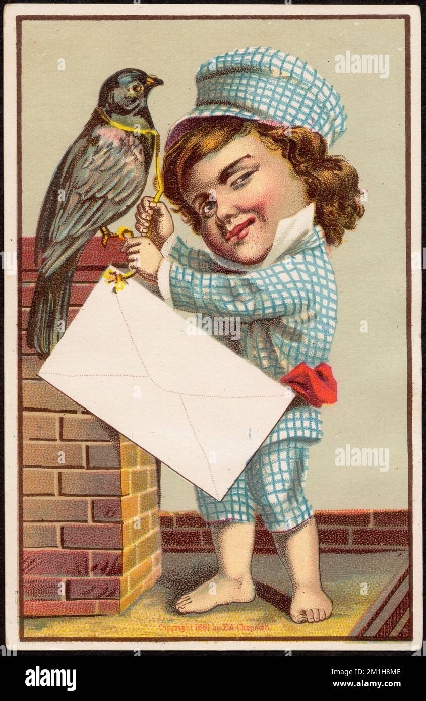Boy tying a blank envelope to a bird. , Boys, Birds, Correspondence ...