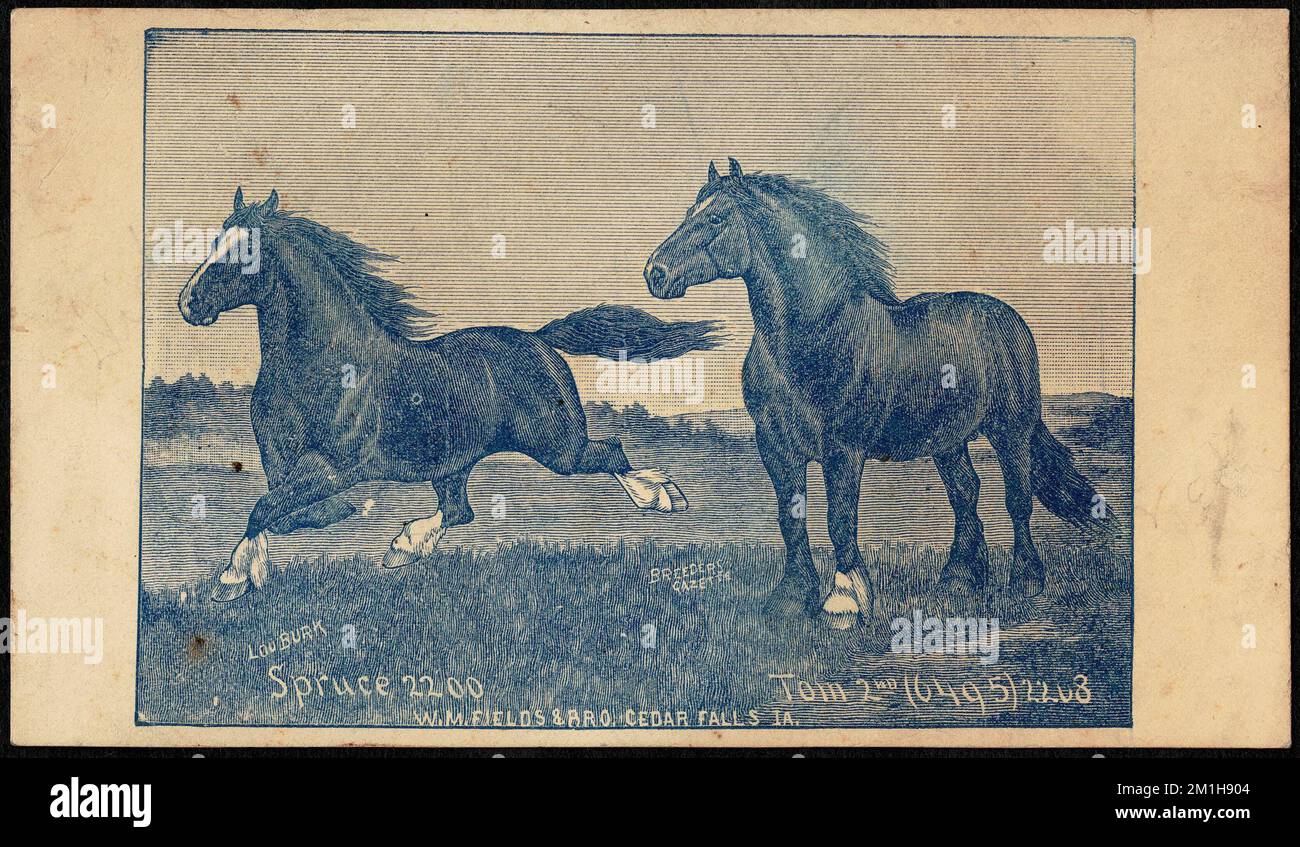 Lou burk hi-res stock photography and images - Alamy
