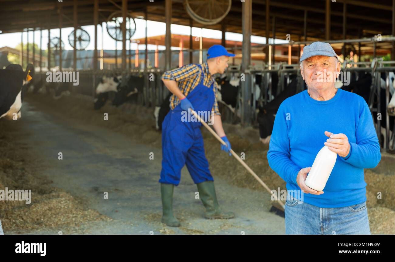 Elderly owner of cow farm with bottle of milk standing in stall on ...