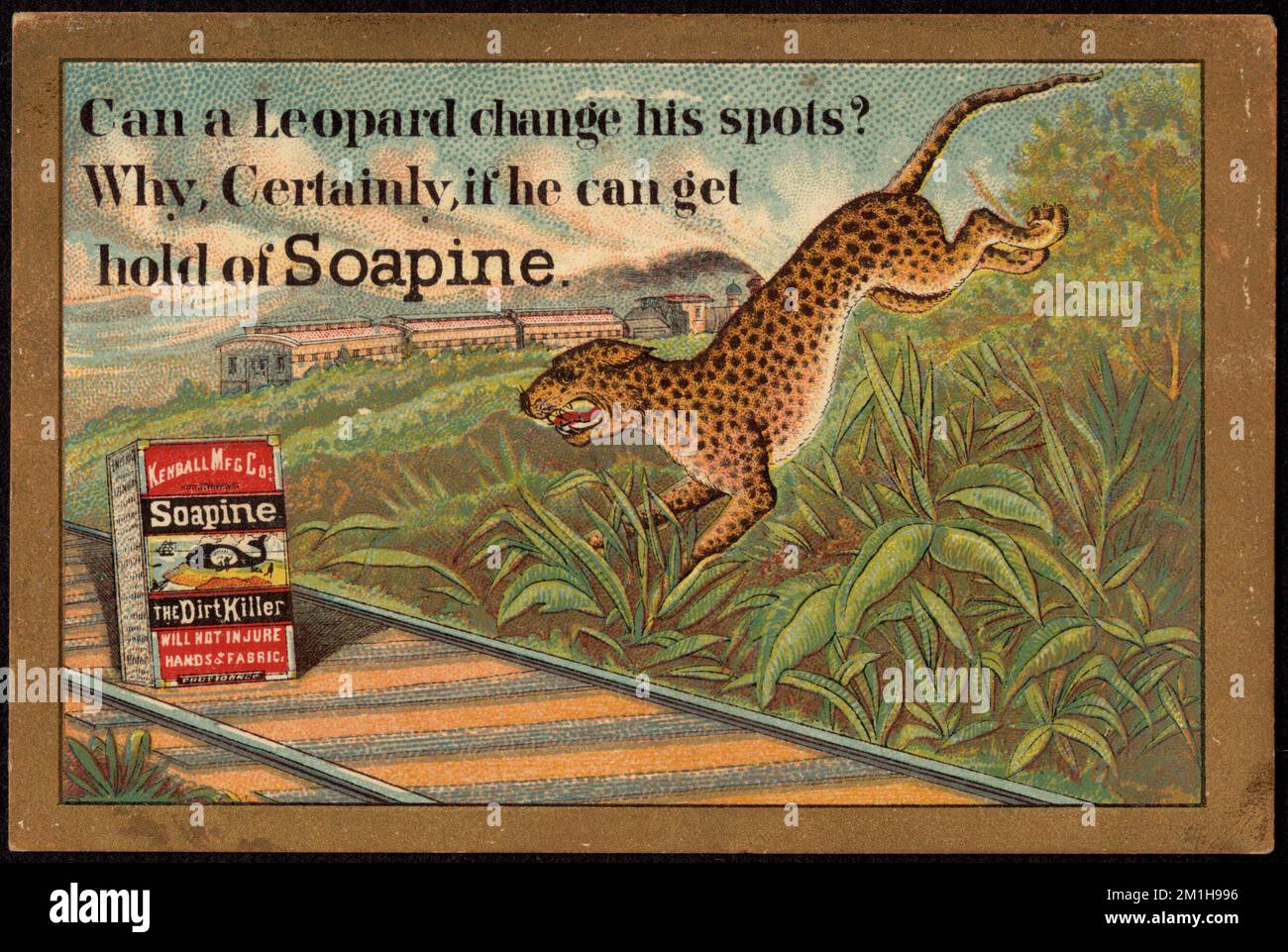 Can a leopard change his spots? Why, certainly, if he can get hold of ...