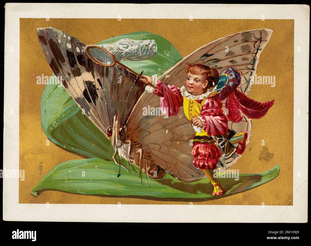 Child swinging net next to a butterfly sitting on a leaf , Children ...
