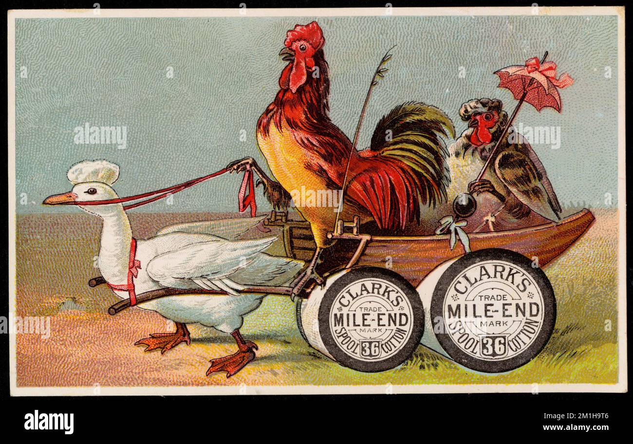 Clark's O.N.T. 36 Spool Cotton , Ducks, Chickens, Thread, Cotton ...