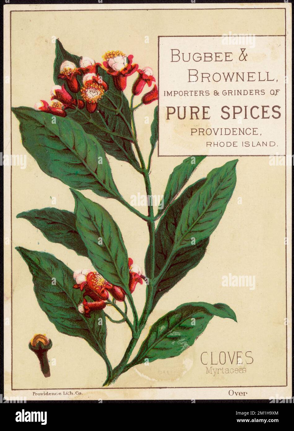 Pure imported spices hi-res stock photography and images - Alamy