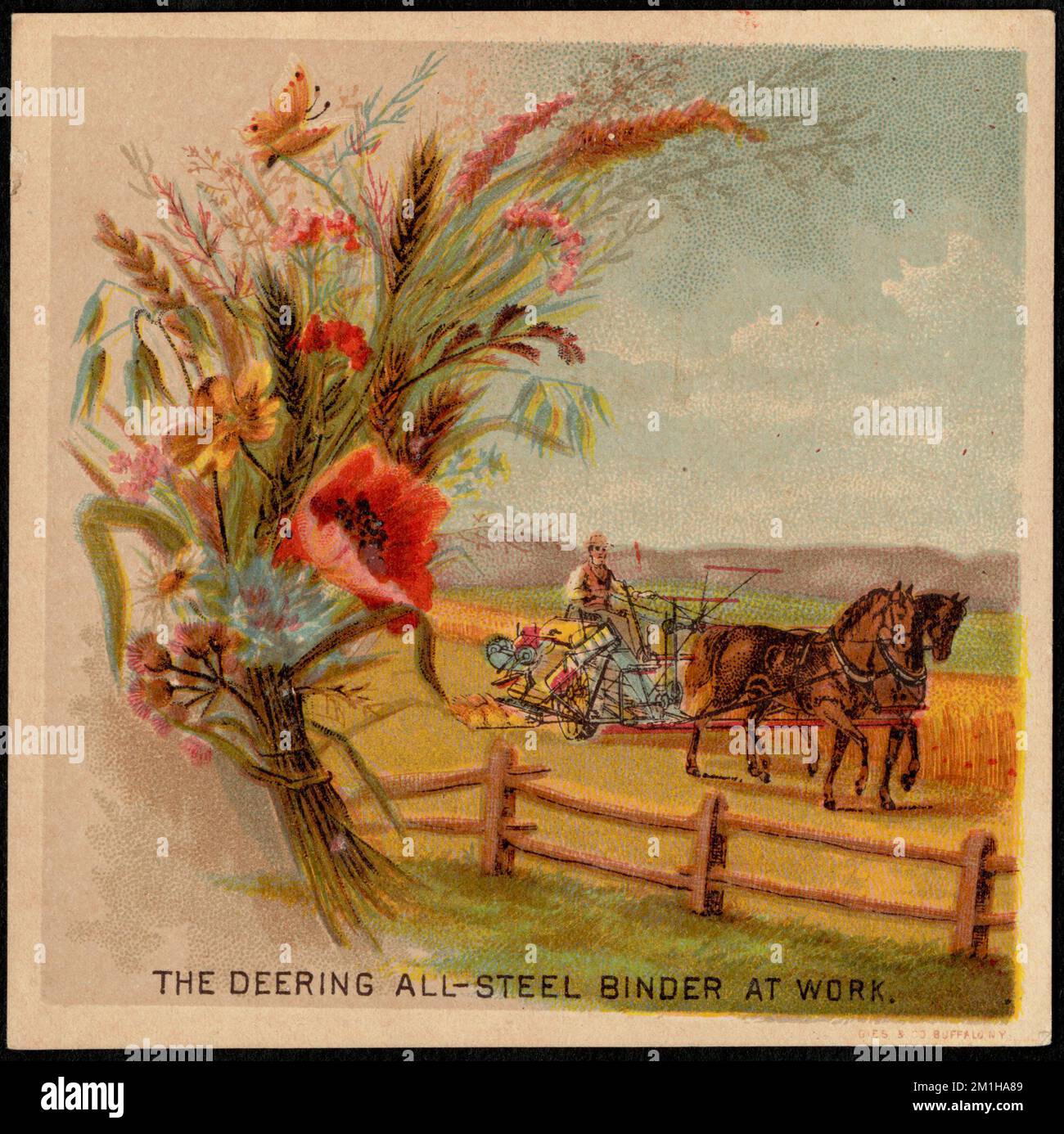 The Deering All-Steel Binder at work. , Men, Horses, Agricultural ...