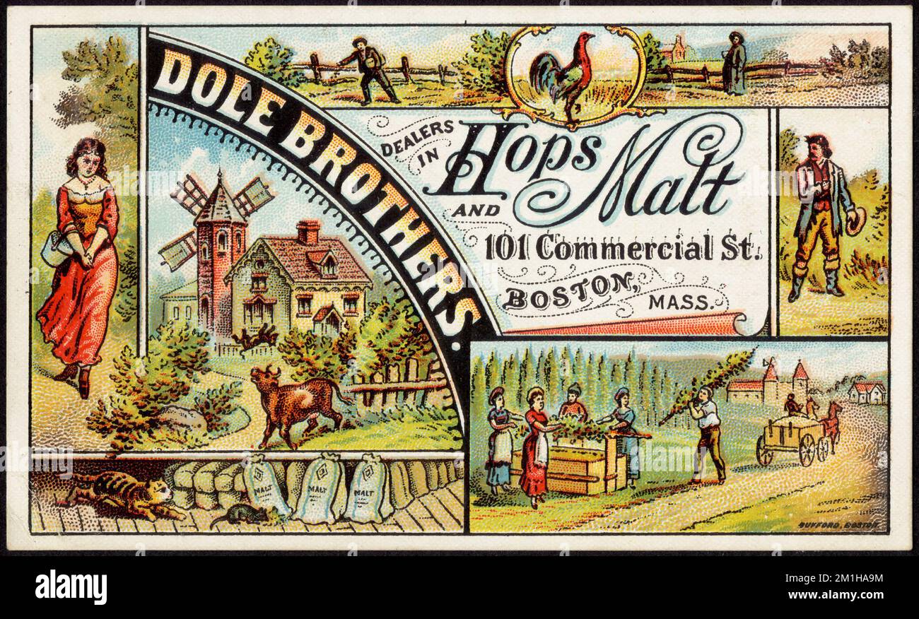 Dole Brothers. Dealers in hops and malt , People, Farms, Hops, Grains ...