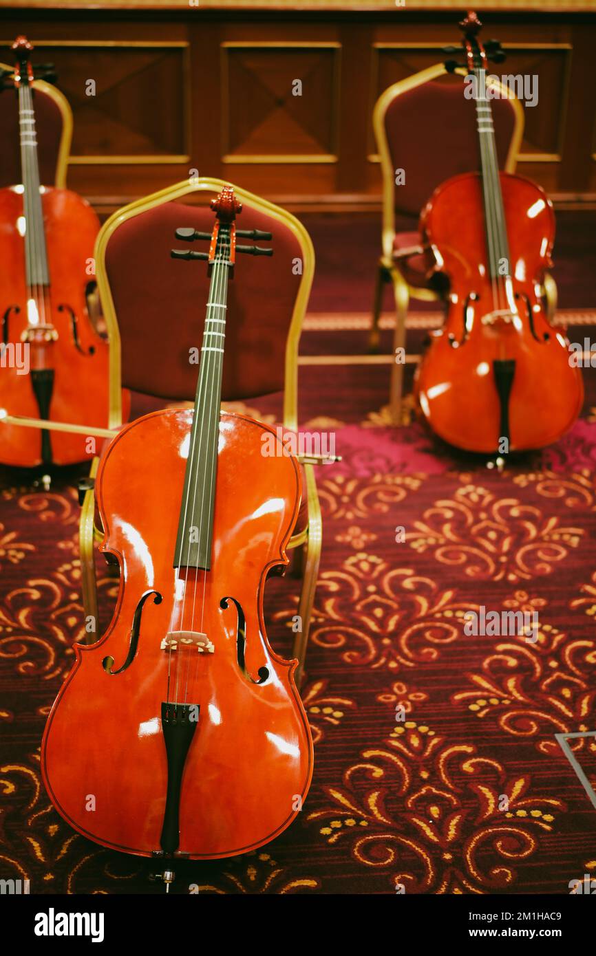 Color image of a row of cellos in a room Stock Photo - Alamy