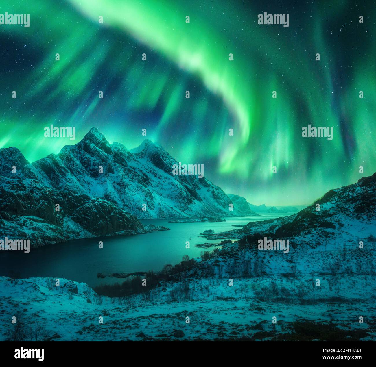 Northern lights over the snowy mountains, sea coast at night Stock ...