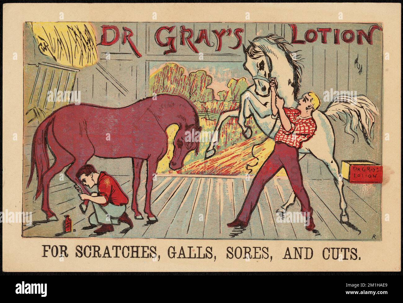 Dr. Gray's Lotion for scratches, galls, sores, and cuts. , Men, Horses ...