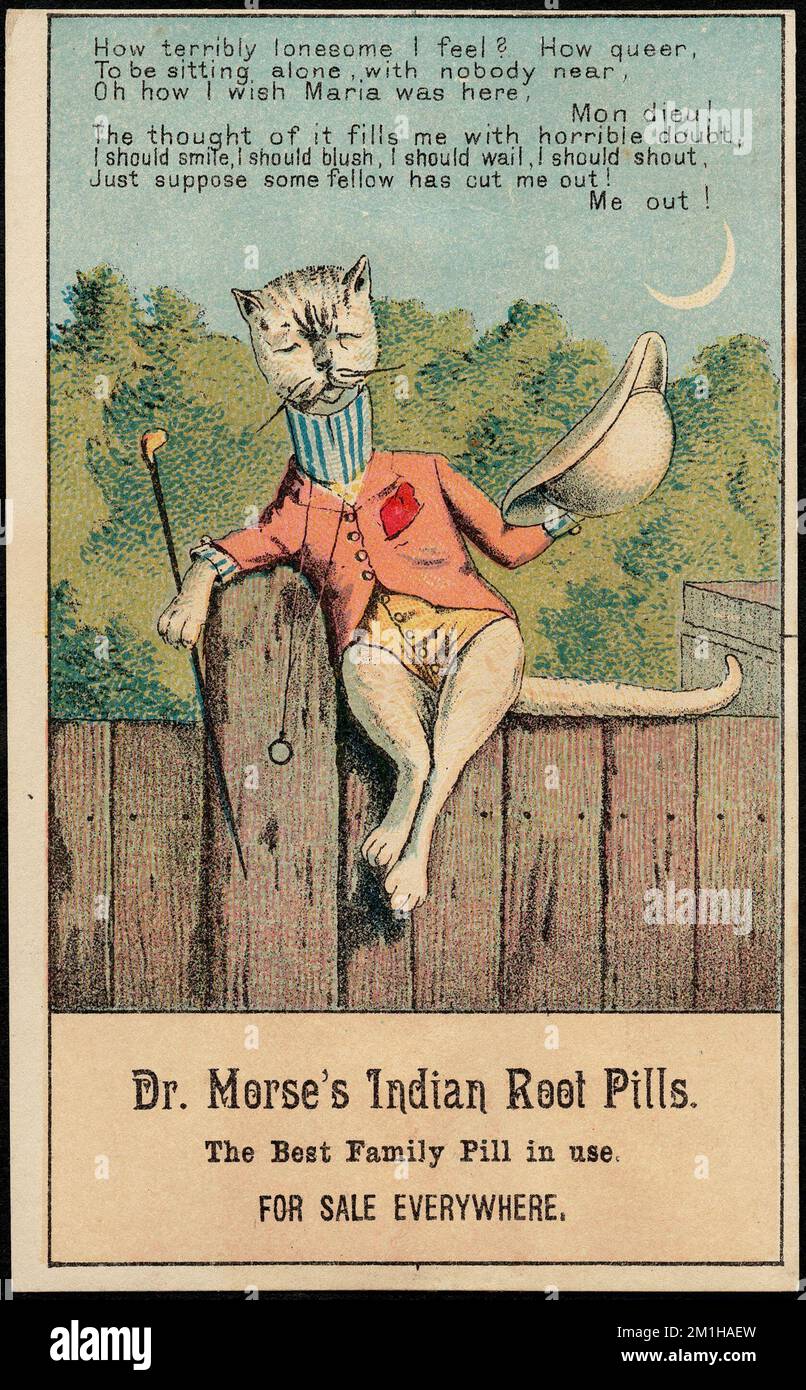 Dr morse's indian root pills hi-res stock photography and images - Alamy