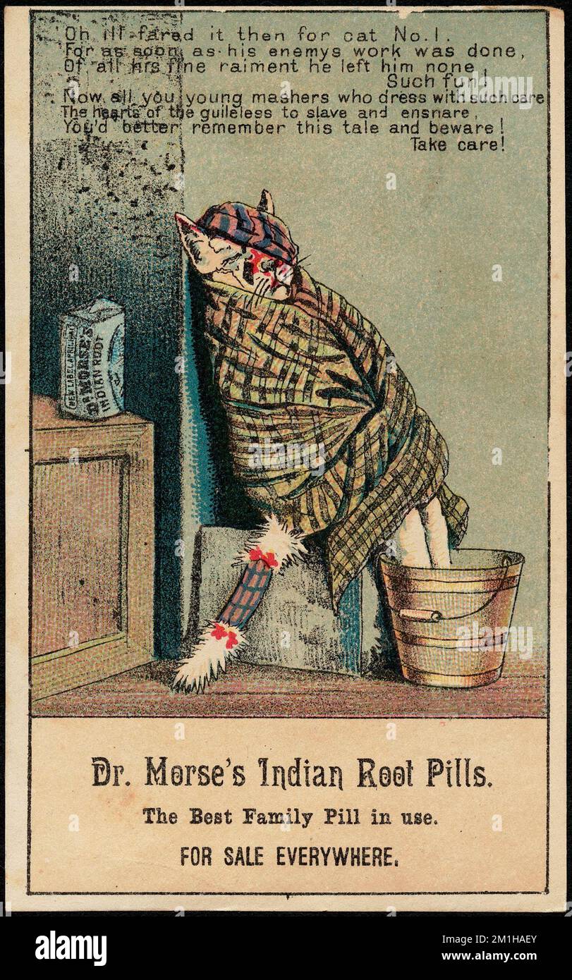 Dr. Morse's Indian Root Pills , Cats, Animals in human situations ...