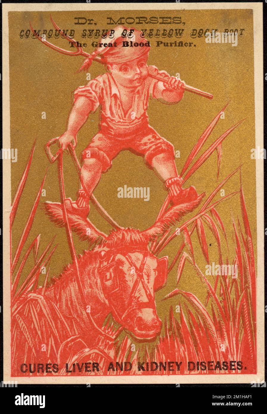 Dr. Morses, compound syrup of yellow dock foo, the great blood purifier ...