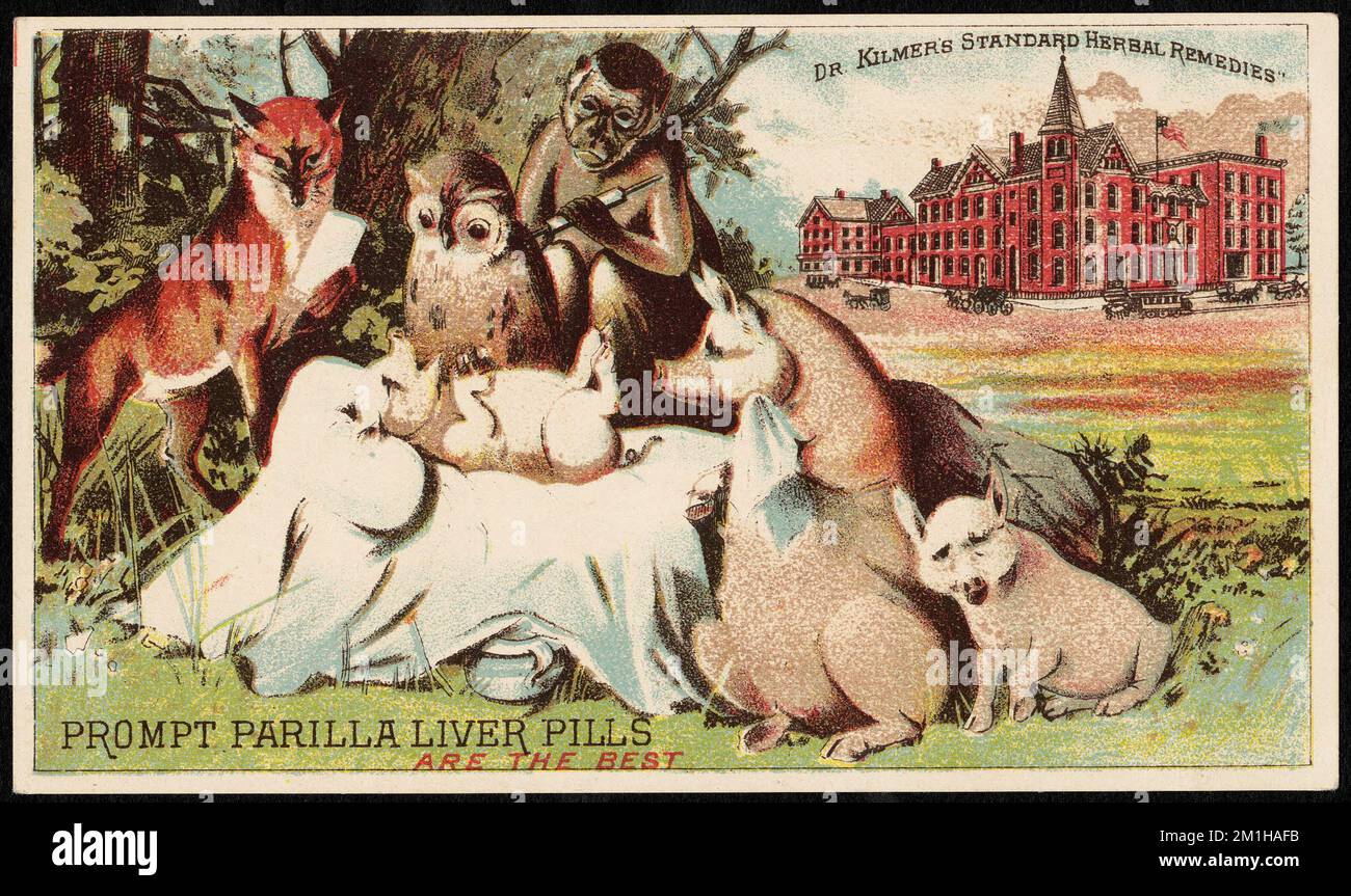 Dr. Kilmer's Standard Herbal Remedies - Prompt Parilla Liver Pills are ...