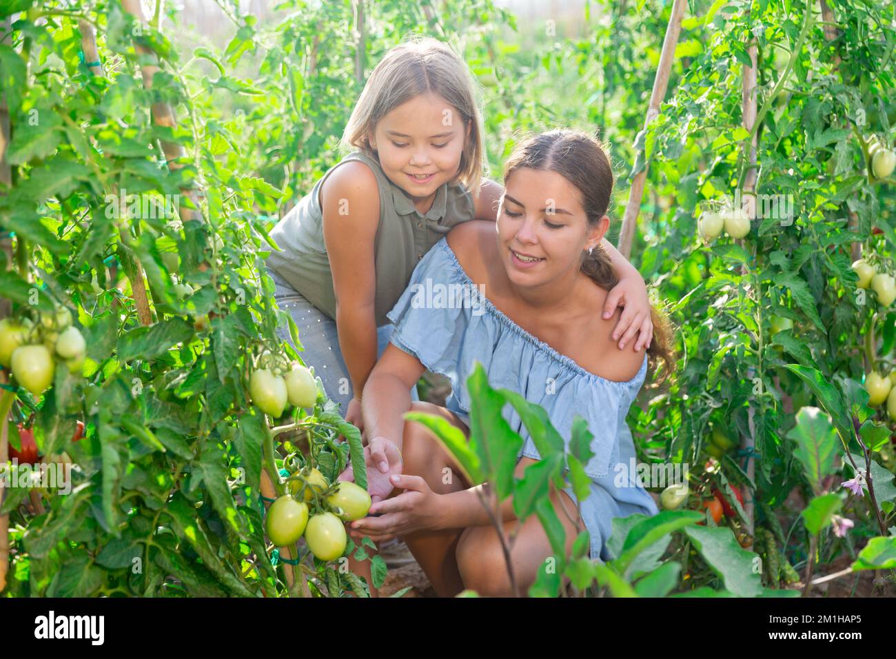 Mother and daughter among tomato shrubs Stock Photo - Alamy