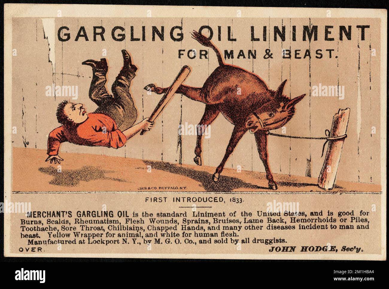 Gargling Oil Liniment for man & beast , Men, Donkeys, Patent medicines ...