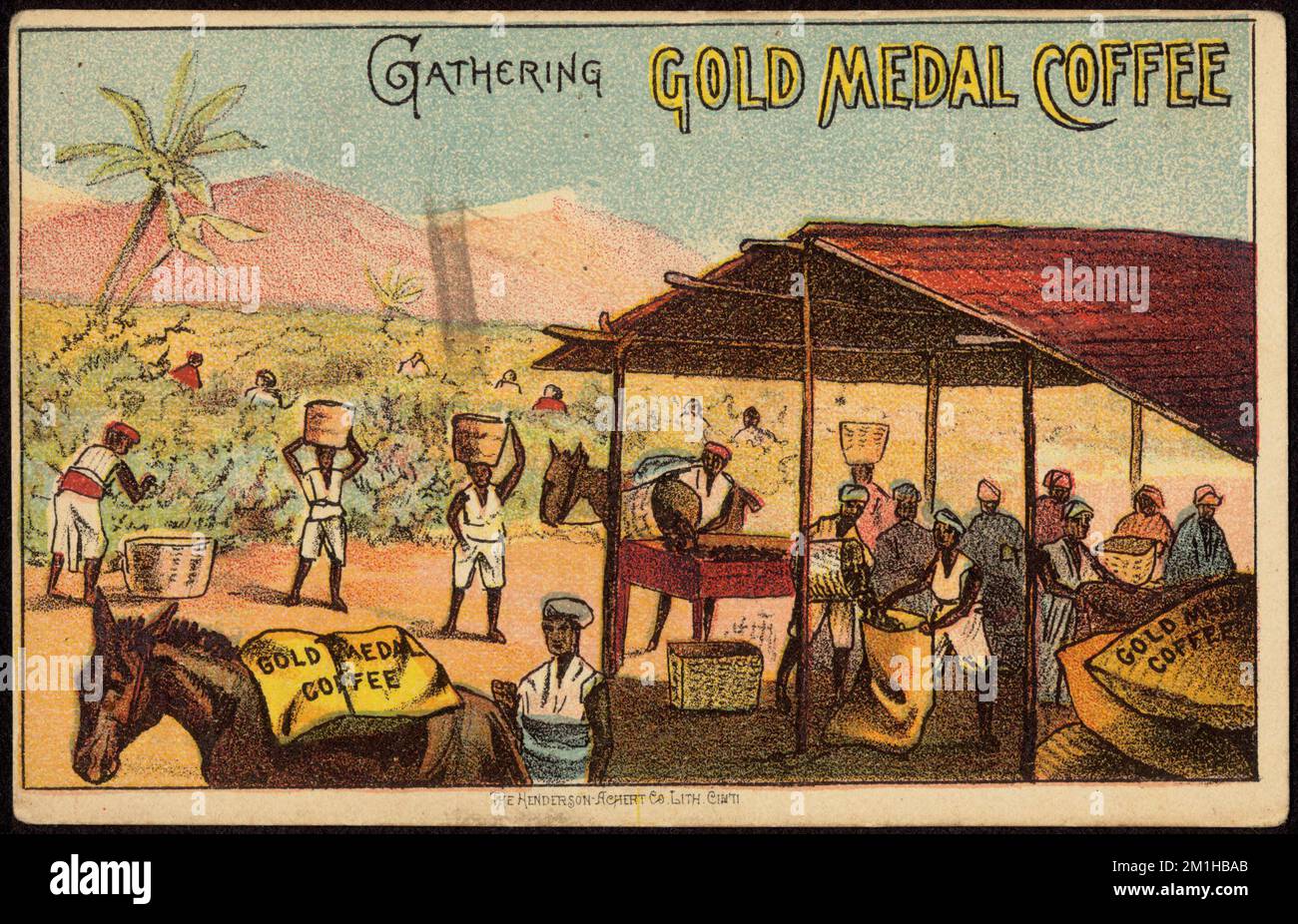 Gathering Gold Medal Coffee , Men, Coffee plantations, Coffee, 19th ...
